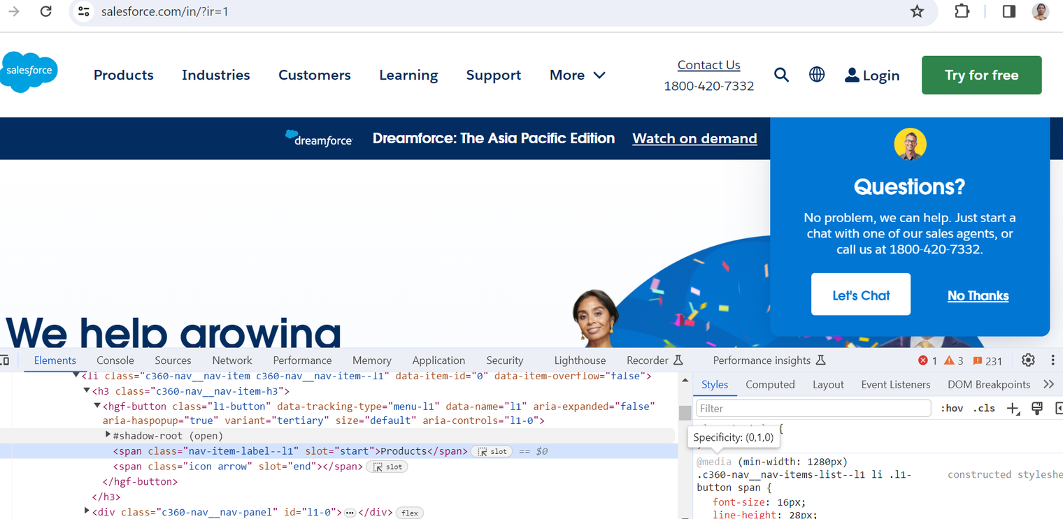 About Shadow DOM Settings